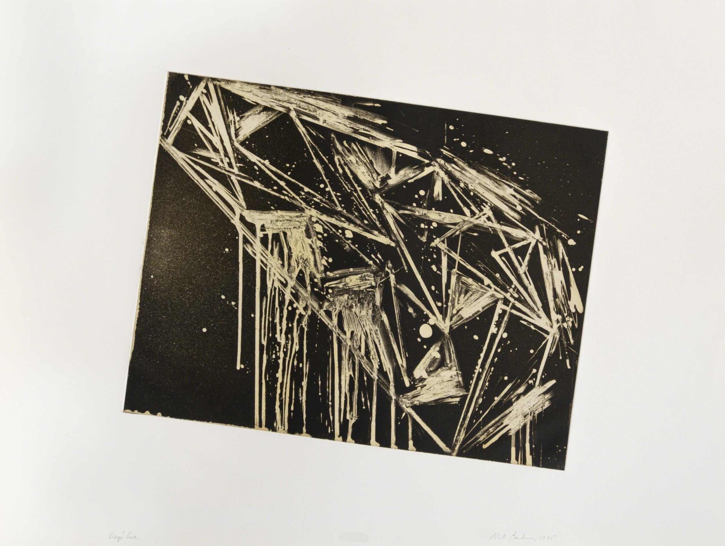 Terry Winters Prints For Sale - Printed Editions