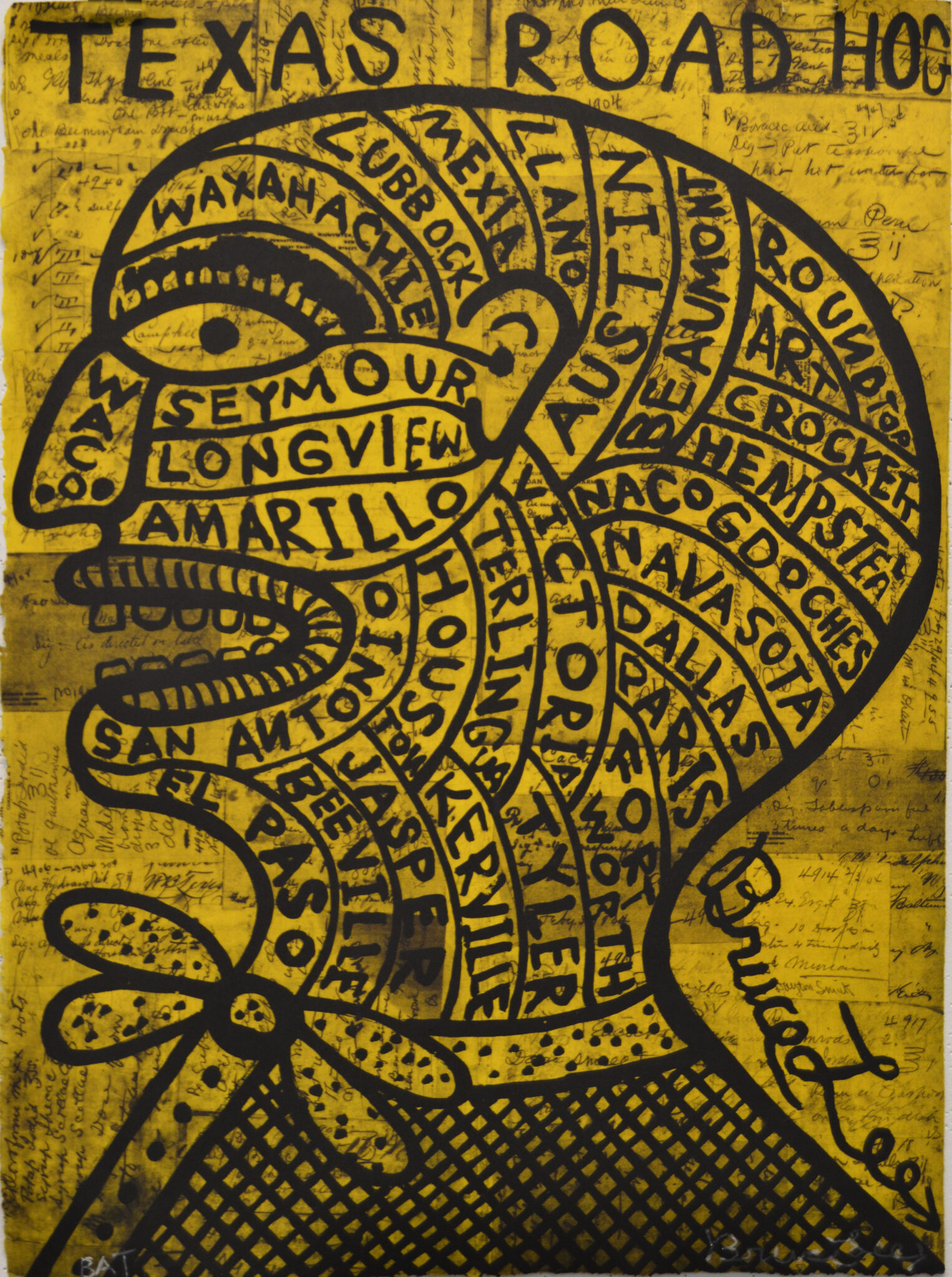Texas Road Hog (Yellow) by Bruce Lee Webb | Printed Editions