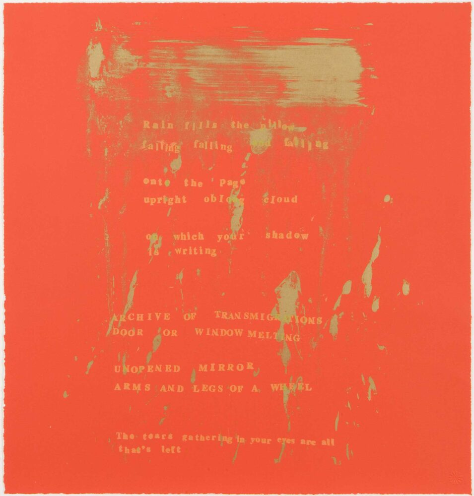Rain Pillow by Pat Steir | Printed Editions
