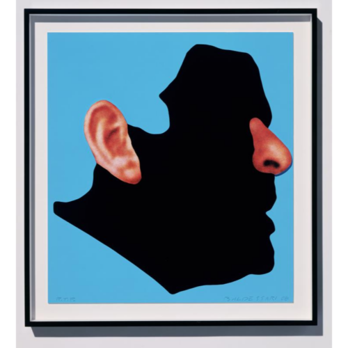 Noses & Ears, Etc.: Profile with Ear and Nose (Color) by John ...