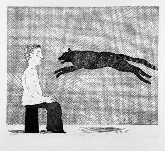 A black cat leaping (Six Fairy Tales from the Brothers Grimm) by David ...