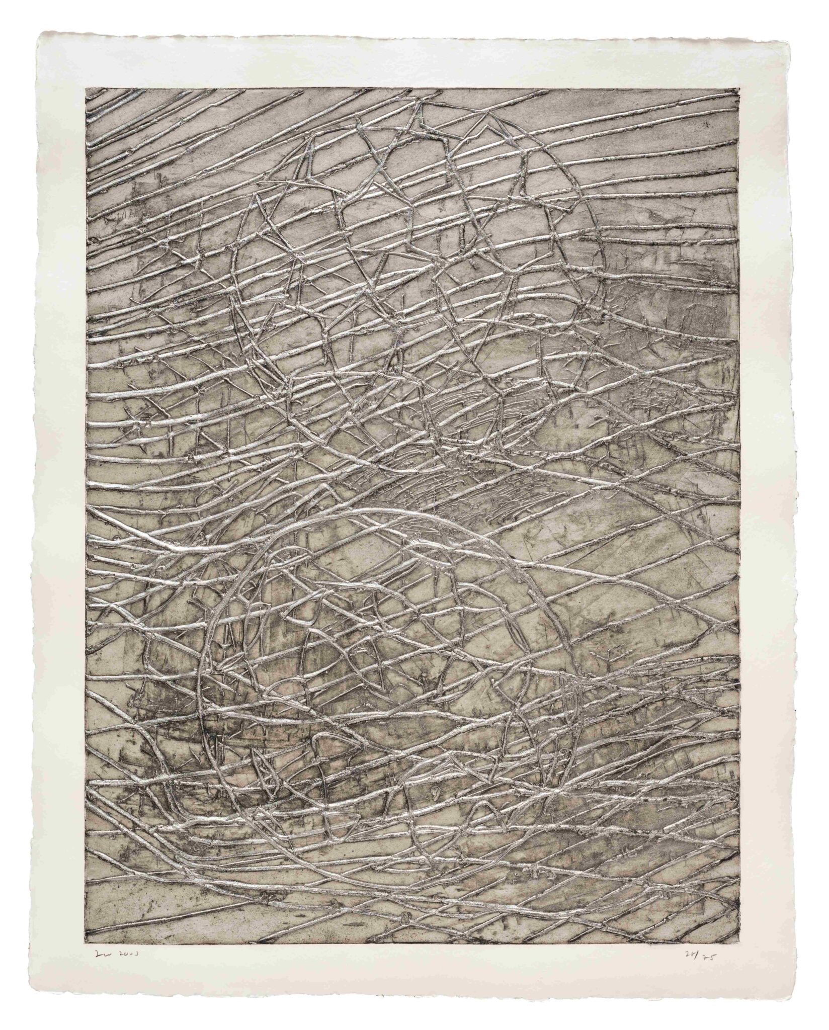 Metal Virus by Terry Winters | Printed Editions