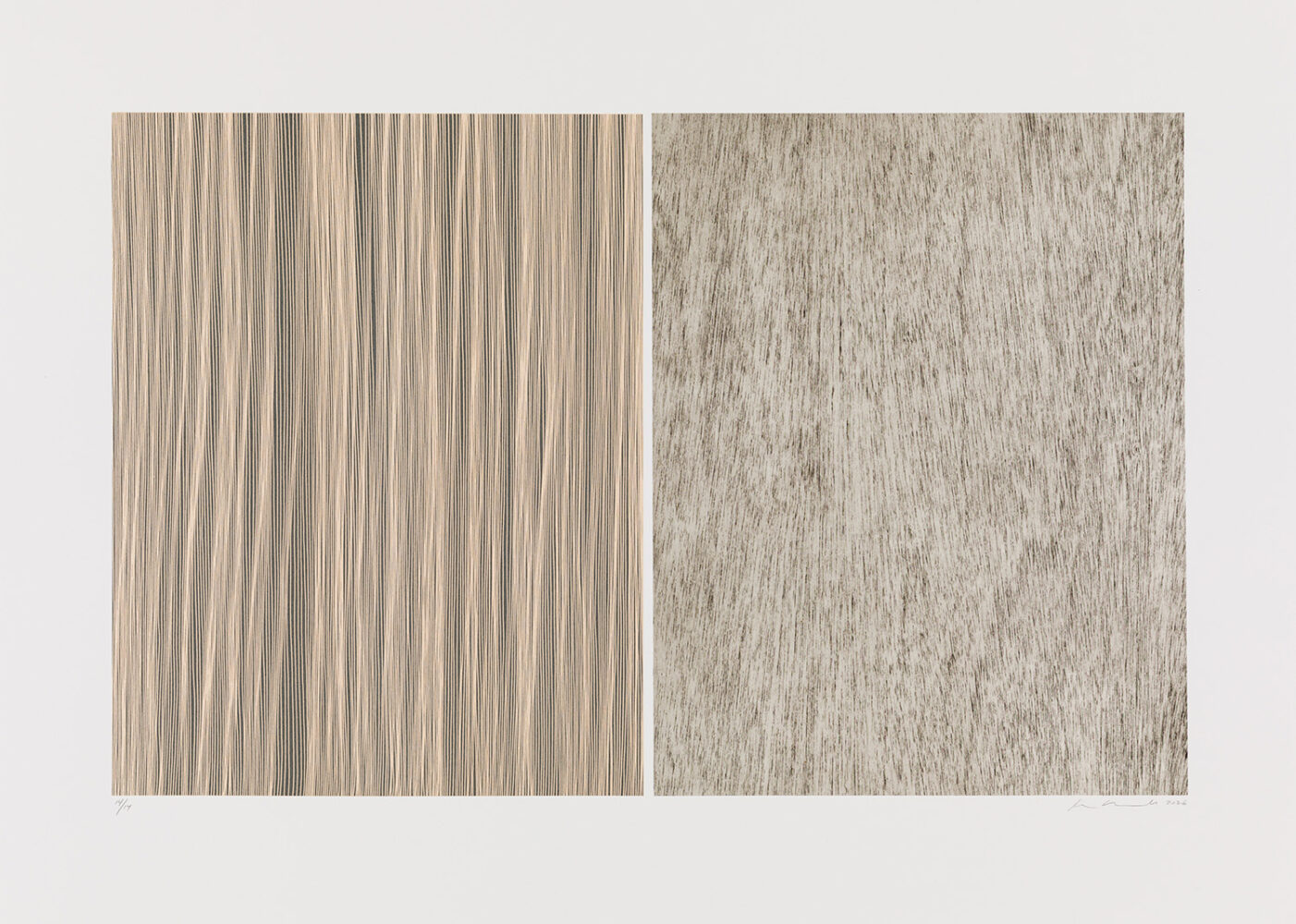 Understory 3 by Ann Aspinwall | Printed Editions