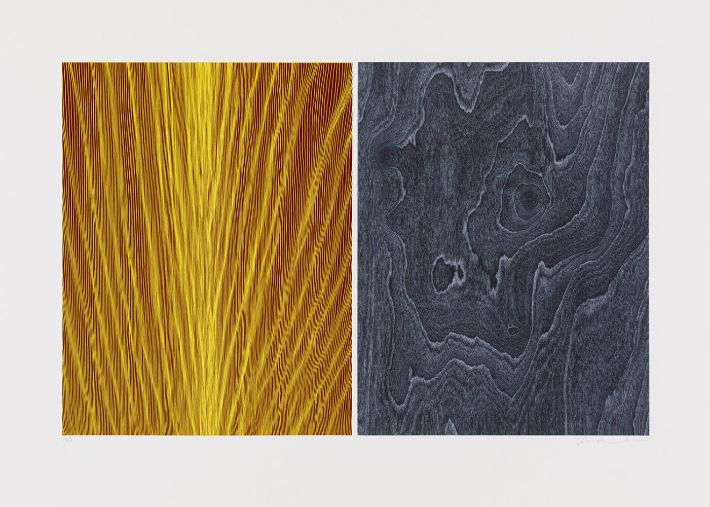 Understory 1 by Ann Aspinwall | Printed Editions